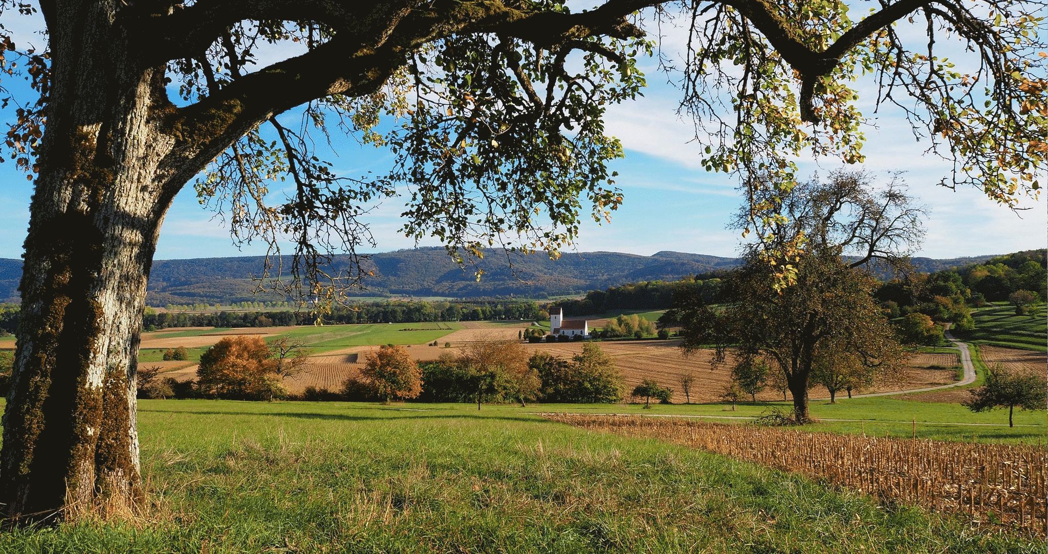 Discover - OT Sundgau